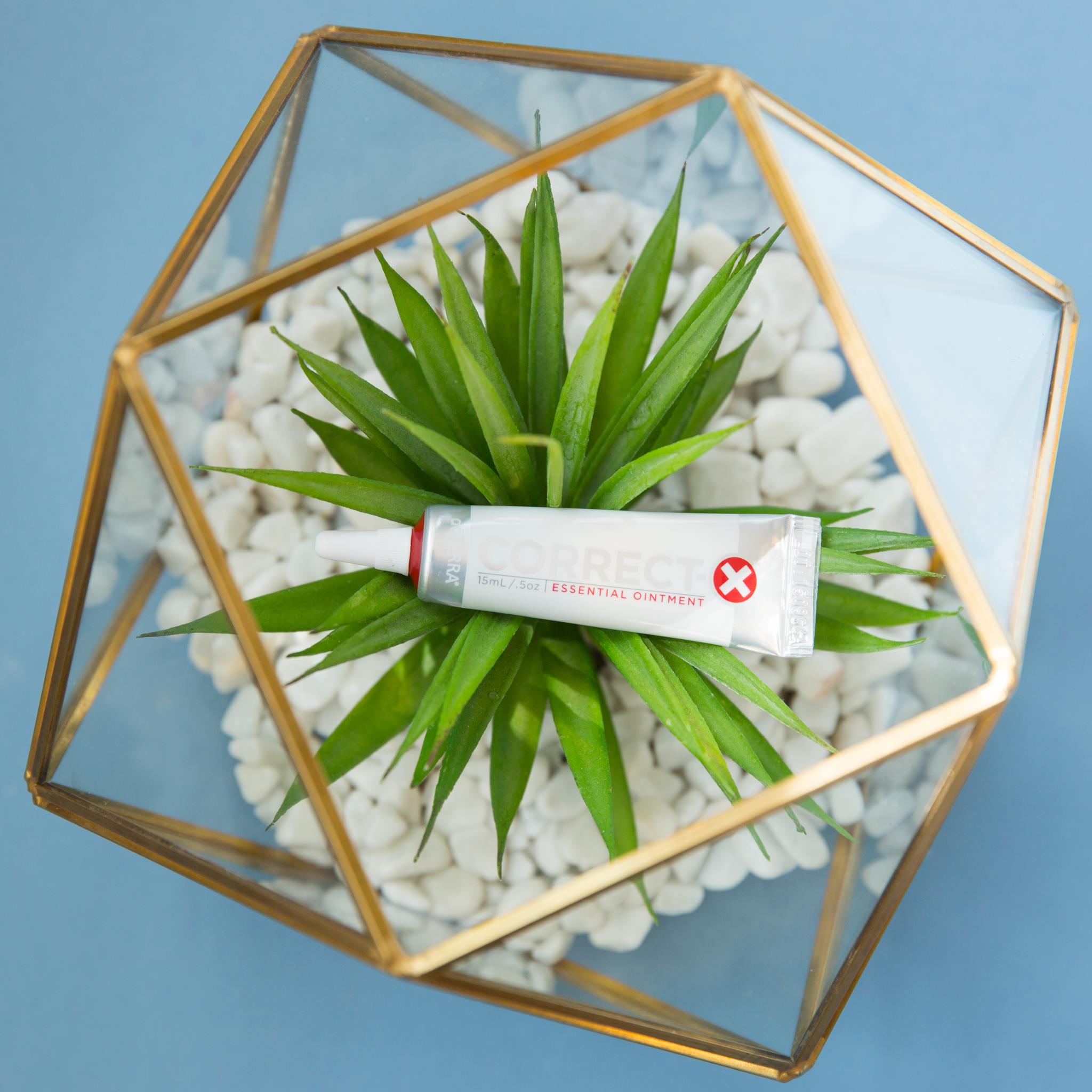 Correct X – God's Scents – Essentials for Health